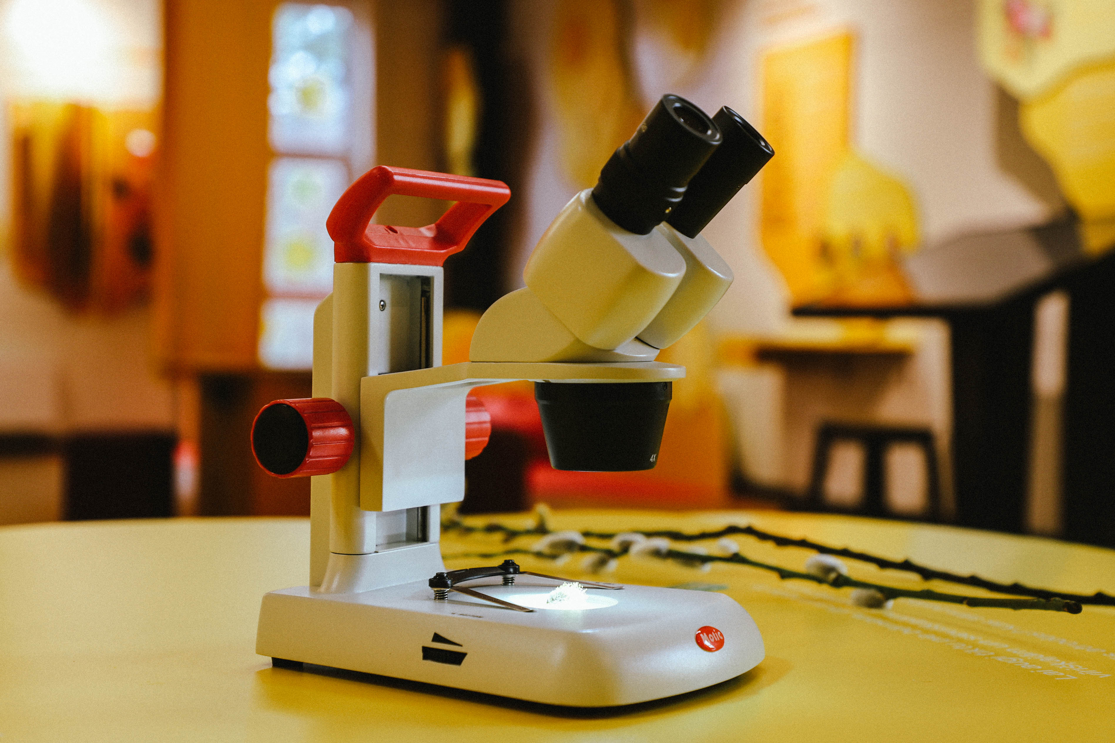 Vides izglītības centrā BOTANIA notiks pūpolu pētīšanas pasākums ...